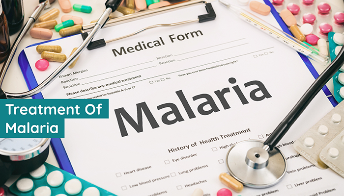 Treatment Of Malaria: Discover The Top Treatments For Prevention Of Malaria | Livlong